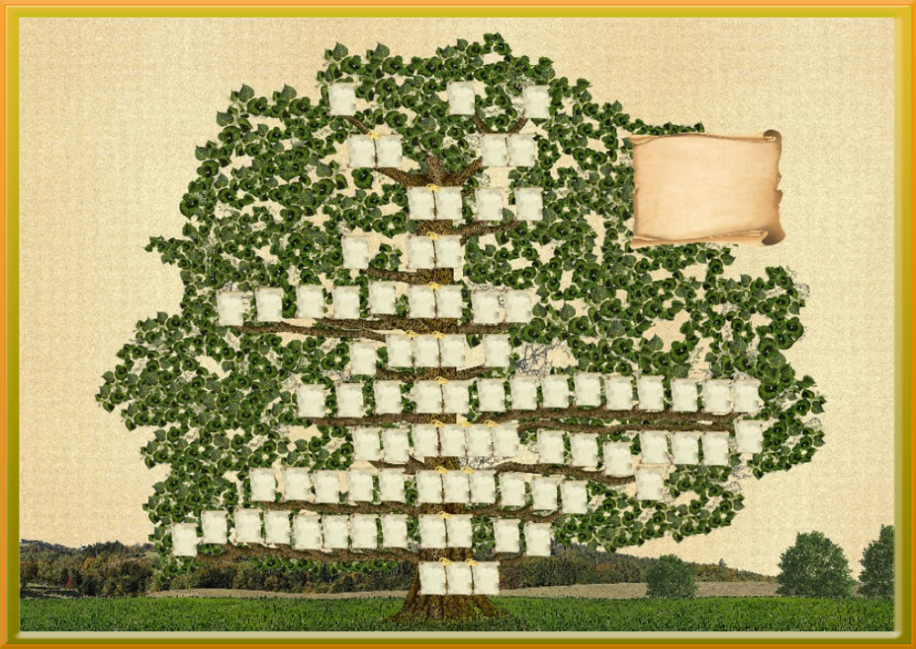 Druhy rodokmenů :: rodokmenyrajnoch.cz