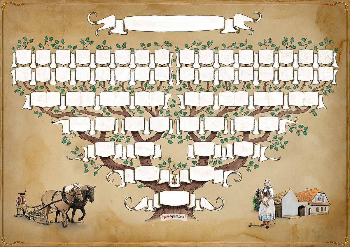 Druhy rodokmenů :: rodokmenyrajnoch.cz